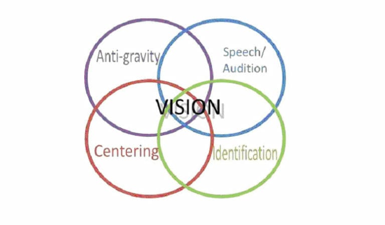 Behavioural Optometry Holistic Patient Care - mivision