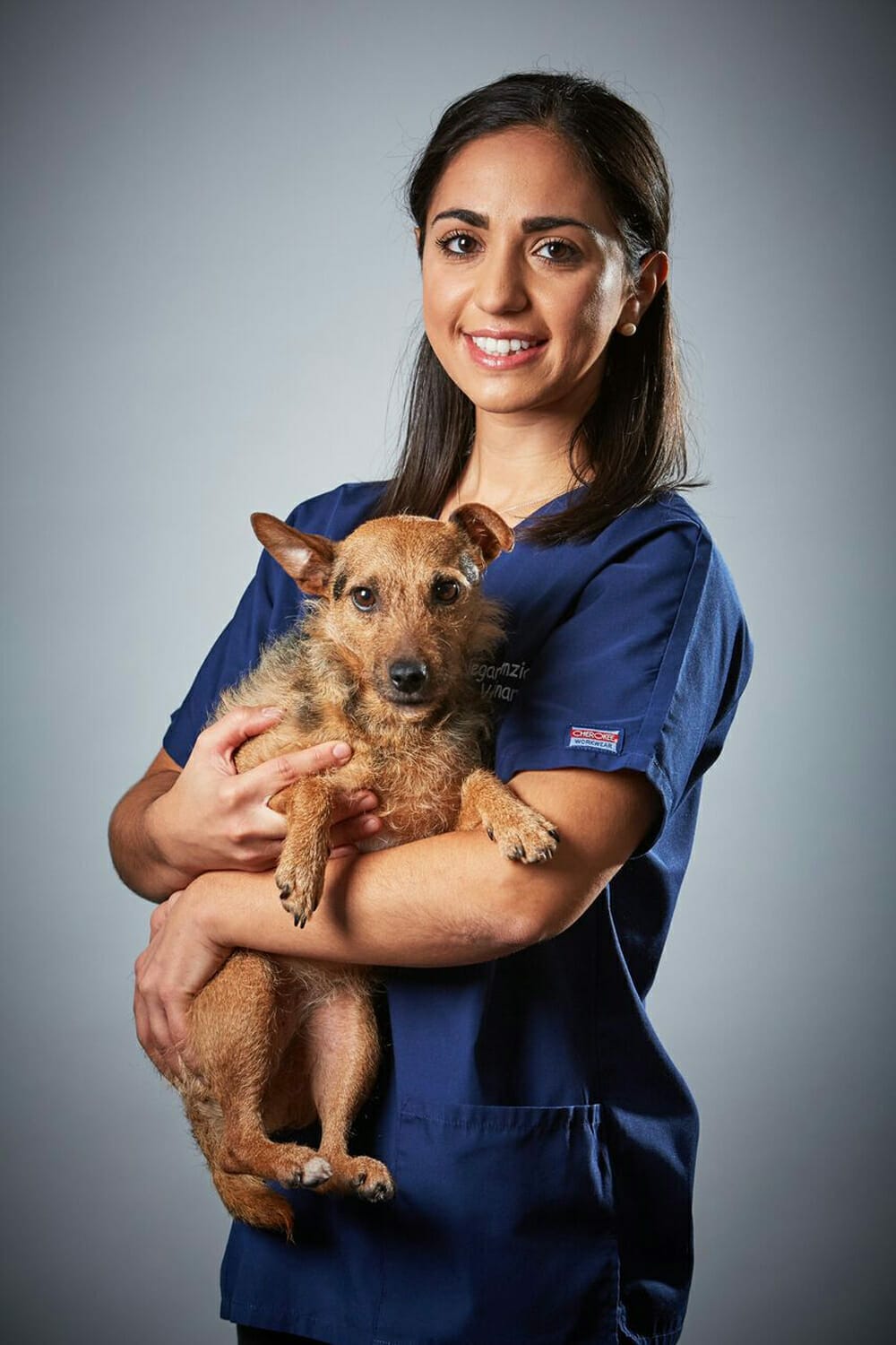 A Different Set of Eyes: Veterinary Ophthalmology - mivision