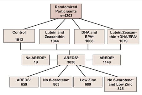 AREDS2 in Australia: Nutritional Supplements In Age-Related Macular ...