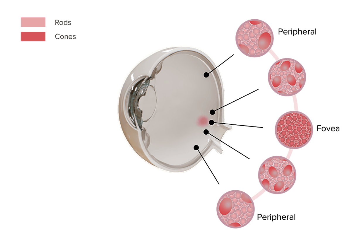 Modelling the Patient’s Behaviour - Recent Advances in Progressive ...