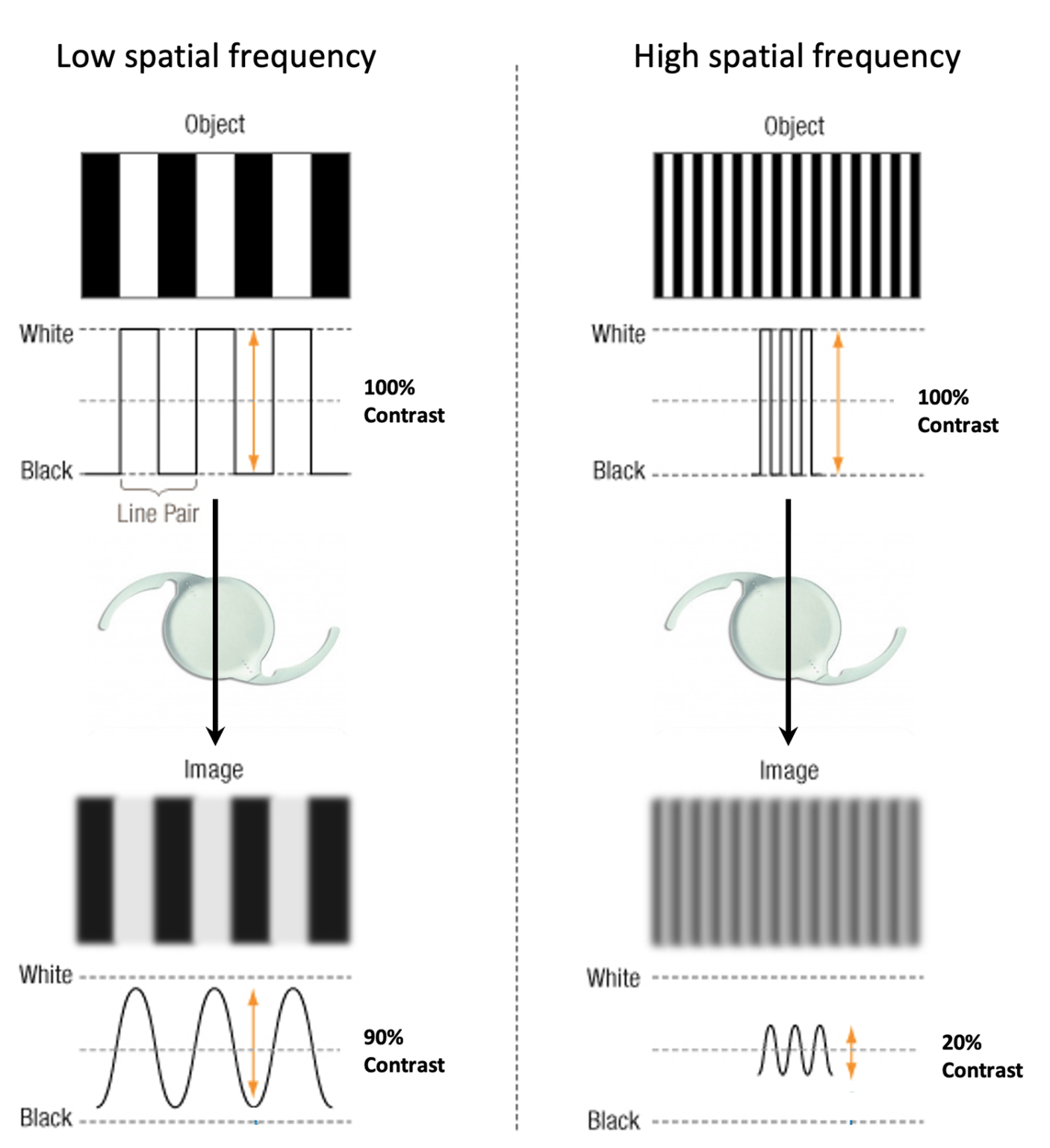What the MTF? (Modulation Transfer Function) - mivision