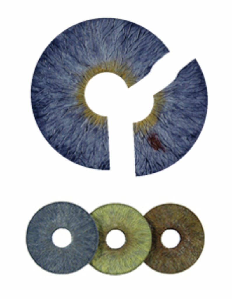 Spectrum Surgical - mivision