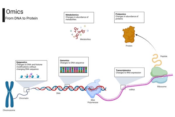 Myopia Insights Through the Lens of Omics - mivision