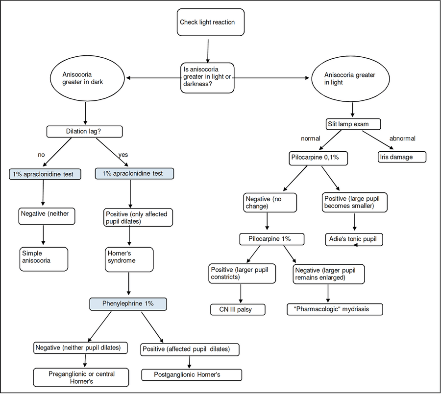 The Three ‘A’s in Clinical Practice: A Guide - mivision